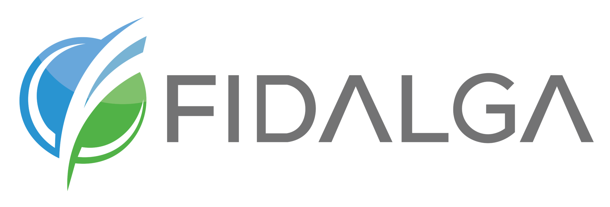 FIDALGA - Fidalga Grupo